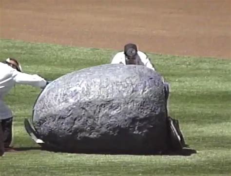 Happy Birthday Dinger Rnlbest