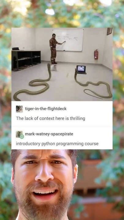 Teaching Pythons How To Program Python Youtube