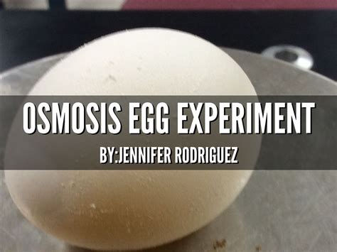 Osmosis Egg Experiment By Jennifer Rodriguez
