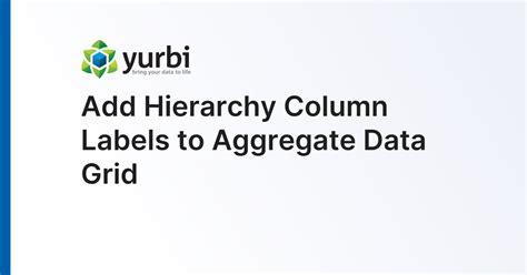 Add Hierarchy Column Labels To Aggregate Data Grid