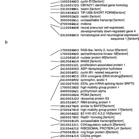 Hierarchical Clustering Of Tissue Expression Profile Of Developmental