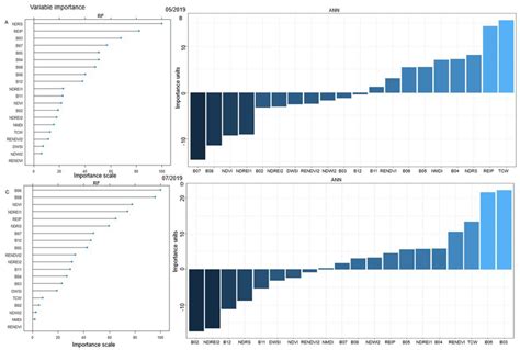 Figure A1 Variable Importance For Rf And Ann For Classification