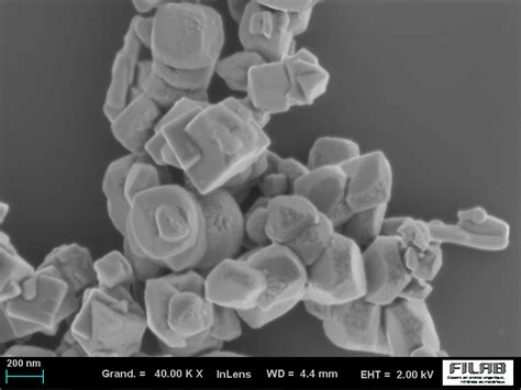 Sem Edx Analysis Scanning Electron Microscopy Services Filab