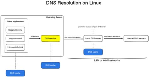 How To Flush DNS Cache On Linux Junos Notes