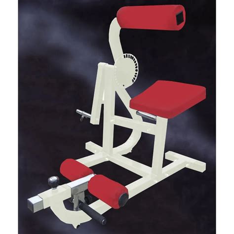 Abdomen And Back Machine Fitness Equipment At ₹ 18000 In Pimpri Chinchwad Id 6459561791