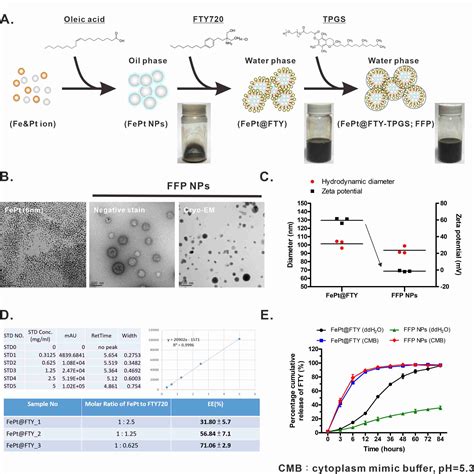 Development Of Novel Nanocomplex Ffp For Nano Radioimmunotherapy