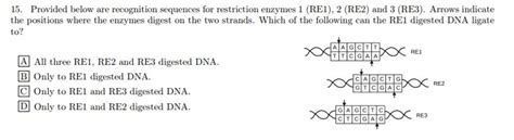 Provided Below Are Recognition Sequences For Restriction Enzymes R