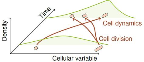 computational methods for systems biology