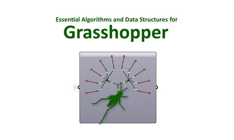 new course essential algorithms and data structures for grasshopper