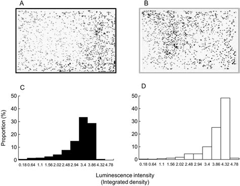 Luciferase Luminescence In Wy002 And Kw028 Colonies Culture Plates Download Scientific Diagram