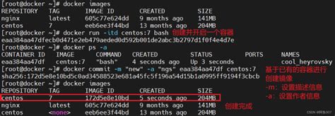 Docker Dockerfile构建镜像 Csdn博客