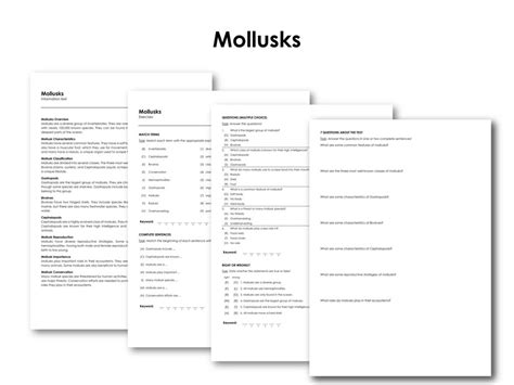 Mollusks Made By Teachers