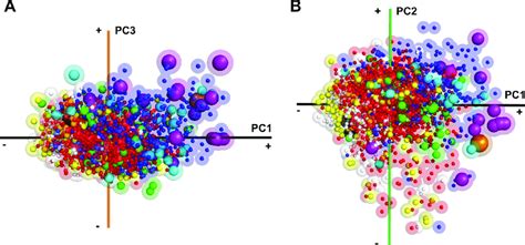 The Structural Symmetry Of Protein Complexes The Protein Complex Shape Download Scientific
