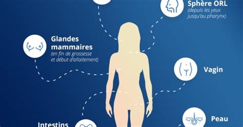 Pileje Les Différents Microbiotes