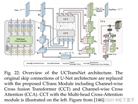 医学图像分割综述u Net系列医学图像 实例分割 Csdn博客