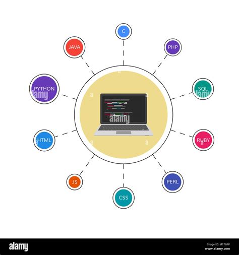 web development infographic programming languages programming and coding vector illustration
