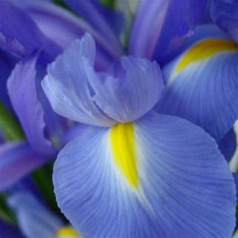 Aopolasw5mywpkedh8c Ananbwncrm F6ybivsr7g3ce S900 C K C0x00ffffff No Rj