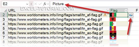 How To Add Flags Pictures In Excel