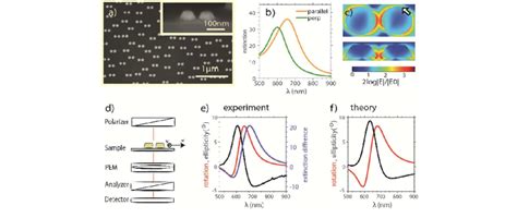 Polarization Rotation Using An Anisotropic Metasurface A Sem Of The Download Scientific