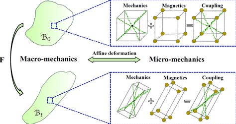 scheme of microstructural based approach accounting for both magnetic