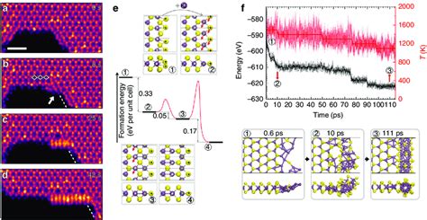Edge Reconstruction Dynamics A D Atomic Resolution Haadf Stem Image