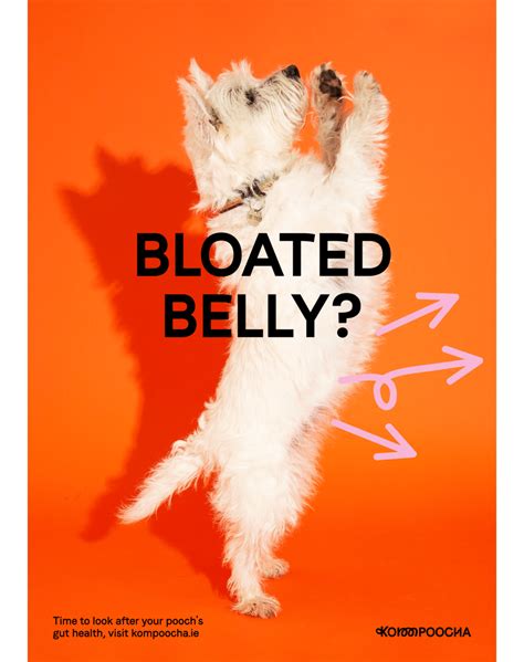 Kate Sheehan Iadt On Show