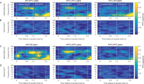 figures and data in synchronous beta rhythms of frontoparietal networks