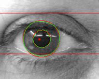 GitHub HalmstadUniversityBiometrics Iris Segmentation GST Matlab Iris Segmentation Code Based