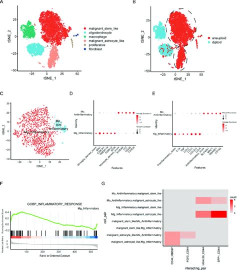 Single Cell Rna Sequencing Data Analysis Reveals Cell Interactions