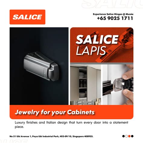 Salice Hinge Musee Musee Asia