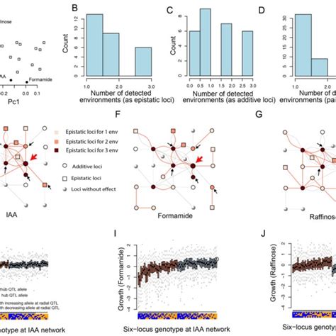Illustrations Of The Relationships Between Environmental Perturbations