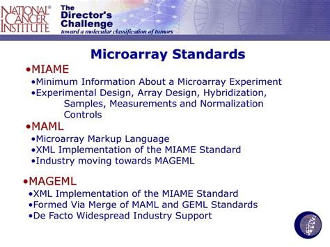 Directors Challenge IT Overview Ppt Download