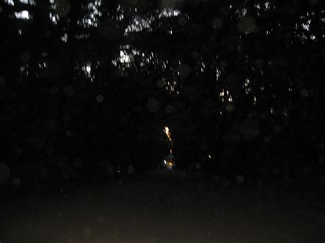 35 Best Orbs Images On Pinterest Ghost Pictures Ghosts And Lights