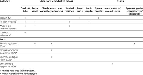 Antibodies And Lectins That Label Accessory Reproductive Organs And