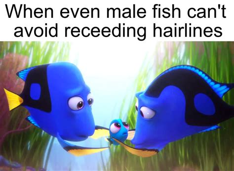 Disney With The Detail Finding Nemo Know Your Meme