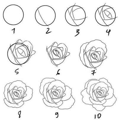 Cómo Dibujar Rosas Paso A Paso
