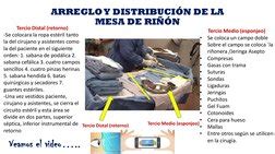 Acomodo Y División De Mesa De Riñón Pdf Cirugía Especialidades
