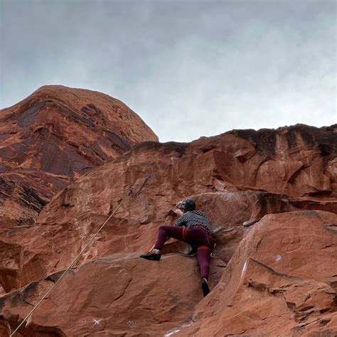 Rob De Wit 🐘 Is One Of The Best Im Honored To Have Met Him And Seen His Work And Can