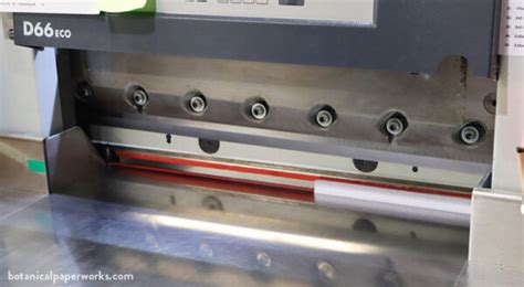 Variable Data Printing On Your Seed Paper Promotions Botanical PaperWorks