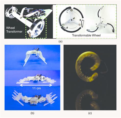 Examples Of Terrestrial Robots With Morphing Structures A A Robot Download Scientific