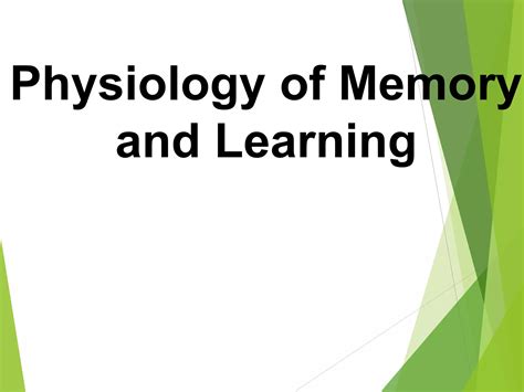 Memory And Learning Ppt