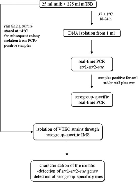 Flow Diagram Of The ISO CEN Draft Technical Specification 13136 Download Scientific Diagram