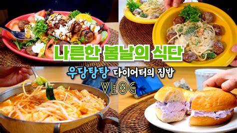 오랜만에 외식 없는 식단 영상 아직도 봄 타는 중인가 주부 브이로그 저탄수화물 요리 다이어트 식단 브이로그 폭식 극복 브이로그 Youtube