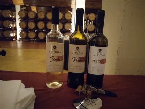 알렌테호의 정수를 느끼다 Getyourguide