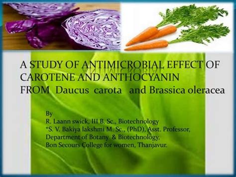 Antimicrobial Activity Of Herbal Production Pptx