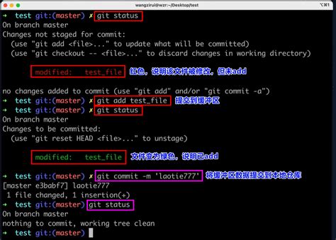 Git 『流程 基本命令 分支 推送与拉取』git拉取和推送 Csdn博客