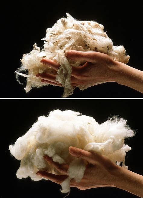 Difference Between Fleece And Wool Pediaa Com