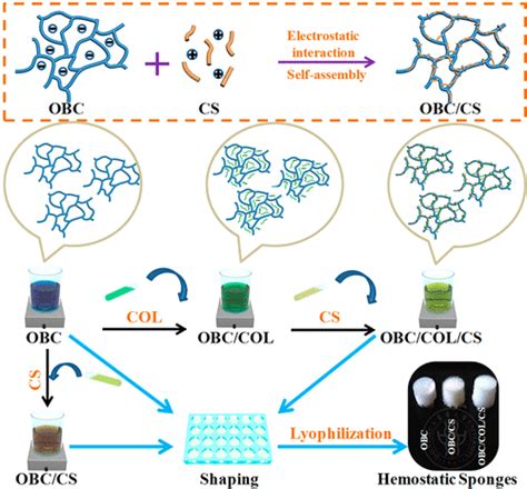Schematic Diagram Of The Synthesis Of OBC OBC CS And OBC COL CS Download Scientific Diagram