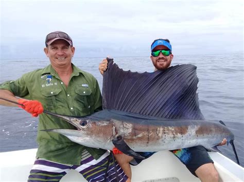 World Record Pacific Sailfish