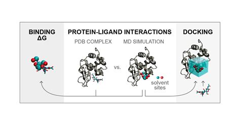 Molecular Dynamics In Mixed Solvents Reveals Protein Ligand